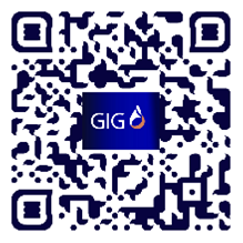 GIG Egypt - Who we are